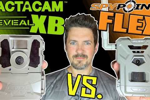 Tactacam Reveal XB Vs Spypoint FLEX Cellular Trail Camera Comparison ...