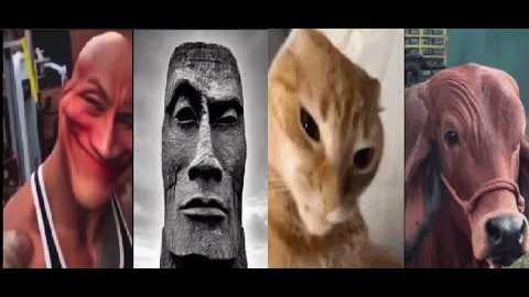 The Rock Eyebrow Raise Meme Alternate Versions (The Rock Sus meme ...