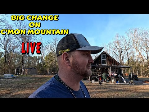 WHAT A DIFFERENCE tiny house homesteading off-grid cabin build DIY HOW ...
